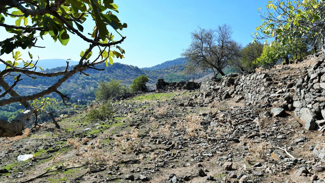 Βιωματικό Εργαστήριο Μπολιάσματος Αμπελώνα 1-2 Οκτ 2022 - ΗΦΑΙΣΤΕΙΟ ...
