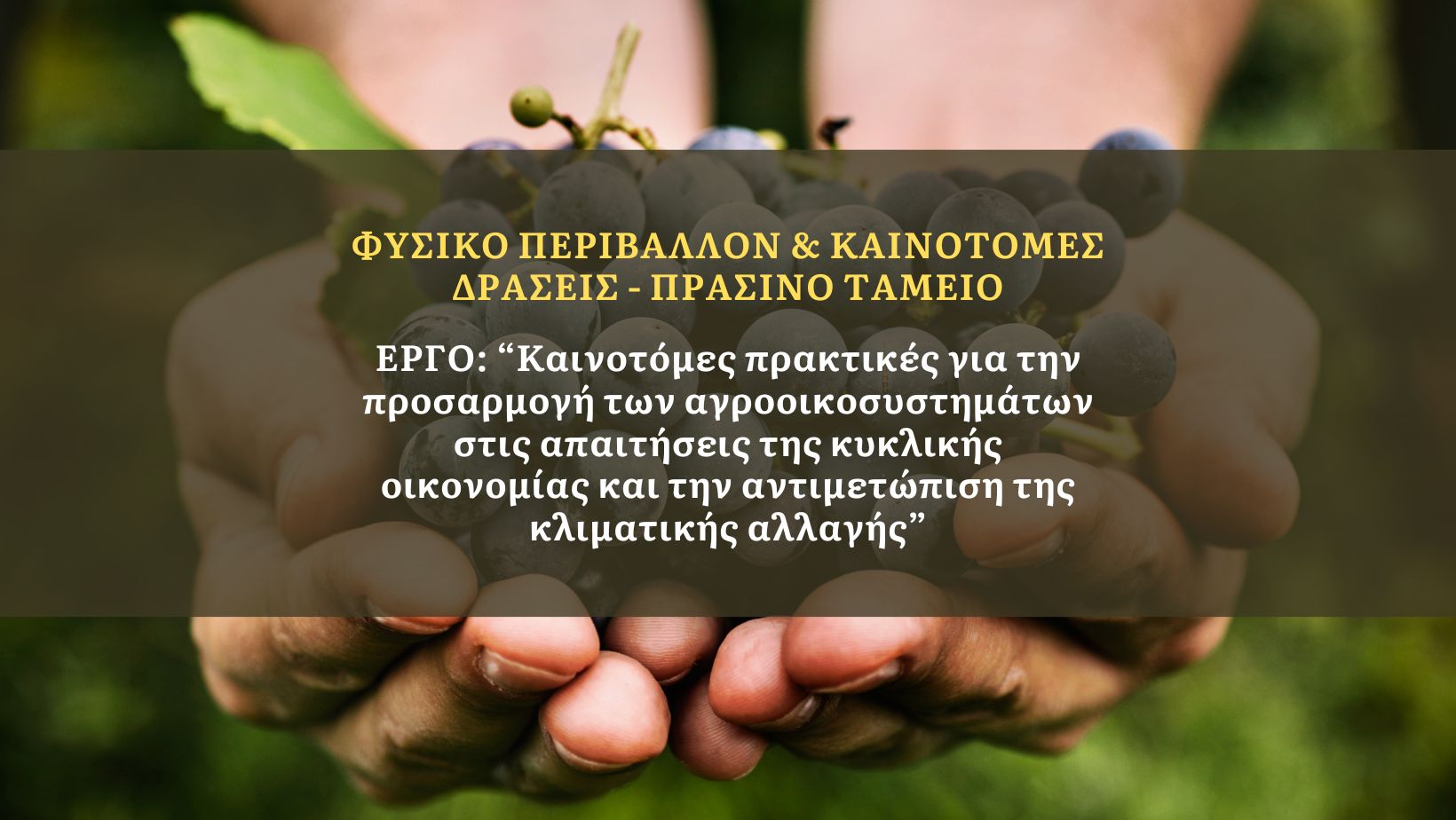 ΚΑΙΝΟΤΟΜΟ εγχείρημα της Κοιν.Σ.Επ. Ηφαίστειο Ανεμώτιας Λέσβου ως ...